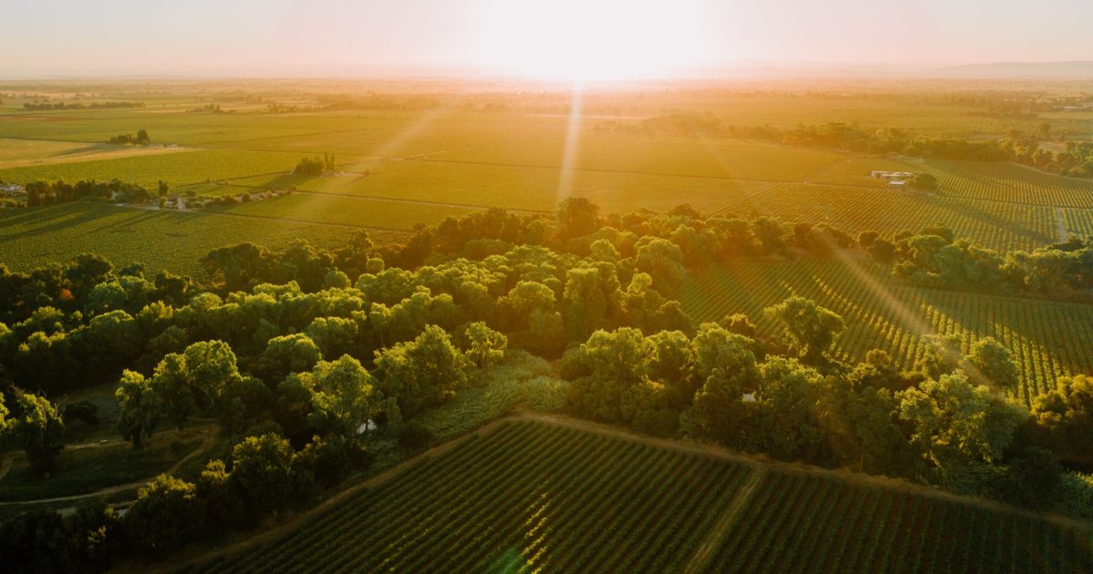 Discover the Exciting Outdoor Adventures in Lodi | Visit Lodi